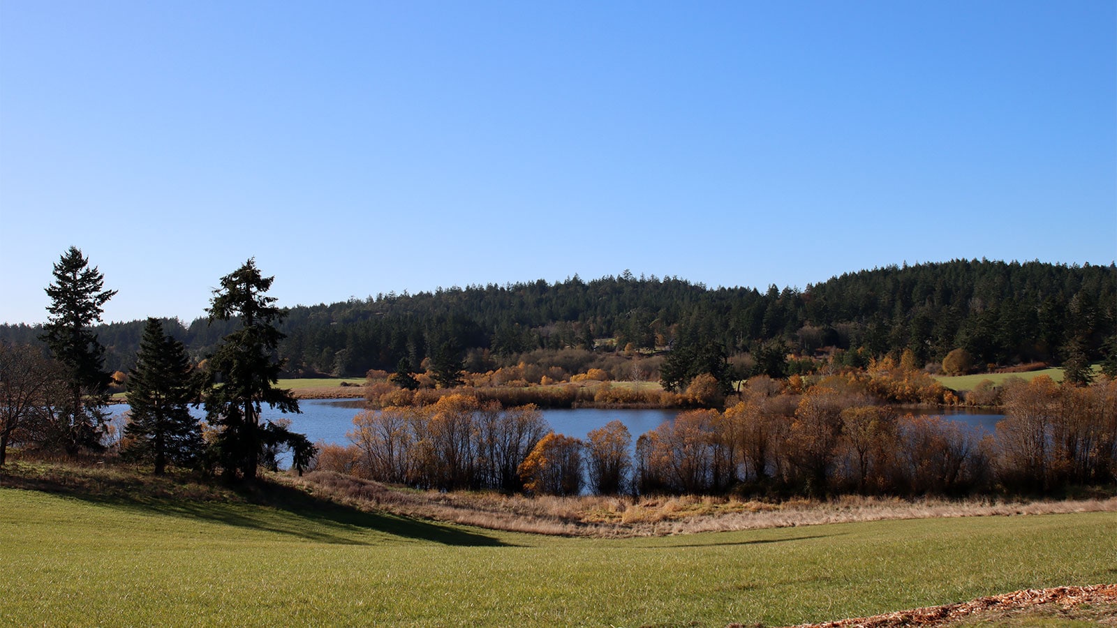 Walking San Juan Island: Zylstra Lake Preserve | Friday Harbor Hotels